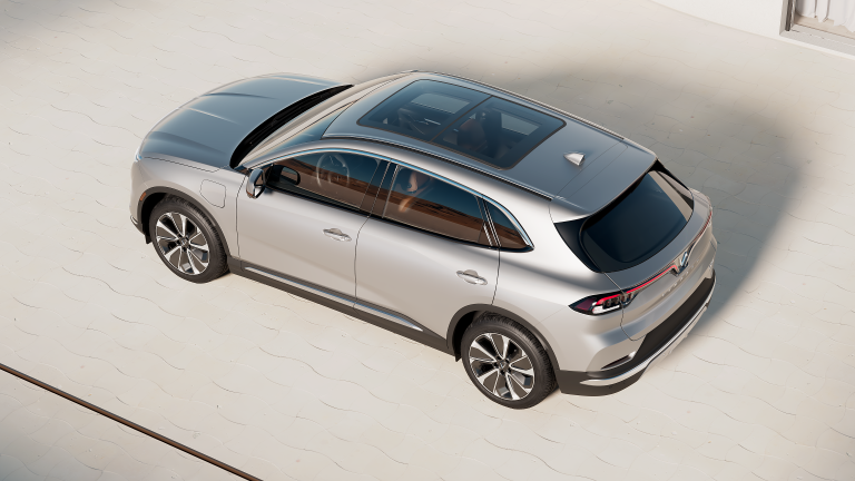 VinFast Brand - VinFast Global Community